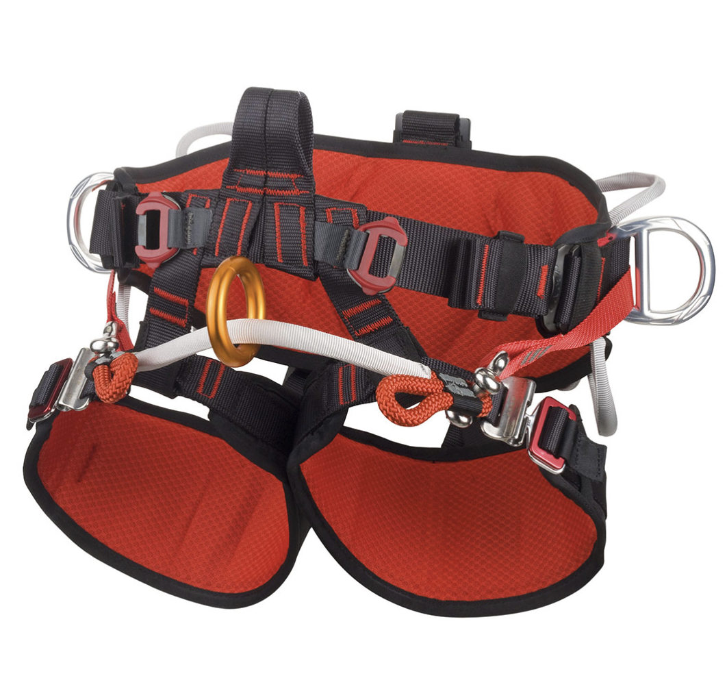 Tree Access Evo Harness CAMP | Arborist Supply Co. Inc.