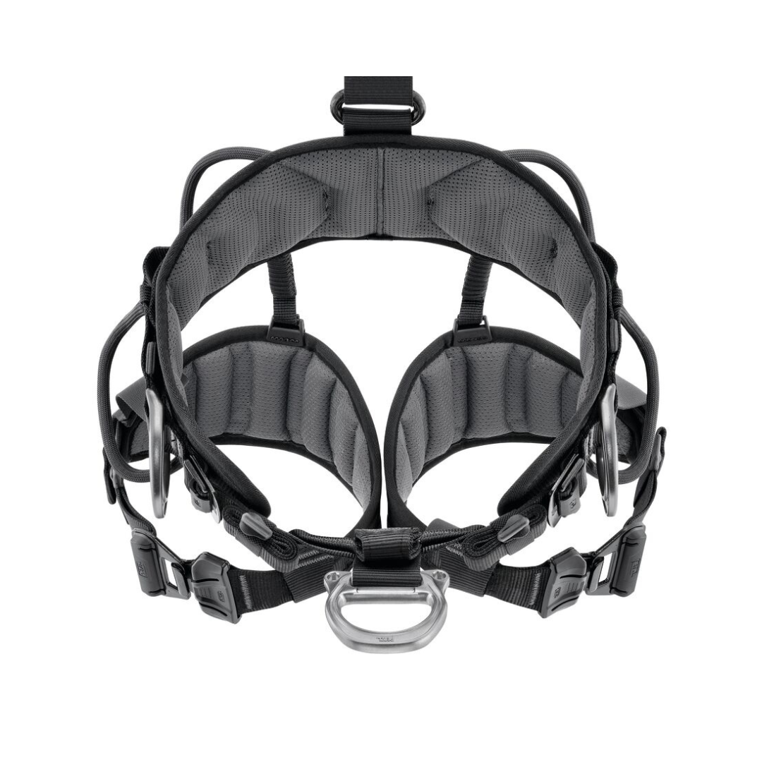 Avao Fast International Version Full Body Harness PETZL | Arborist ...