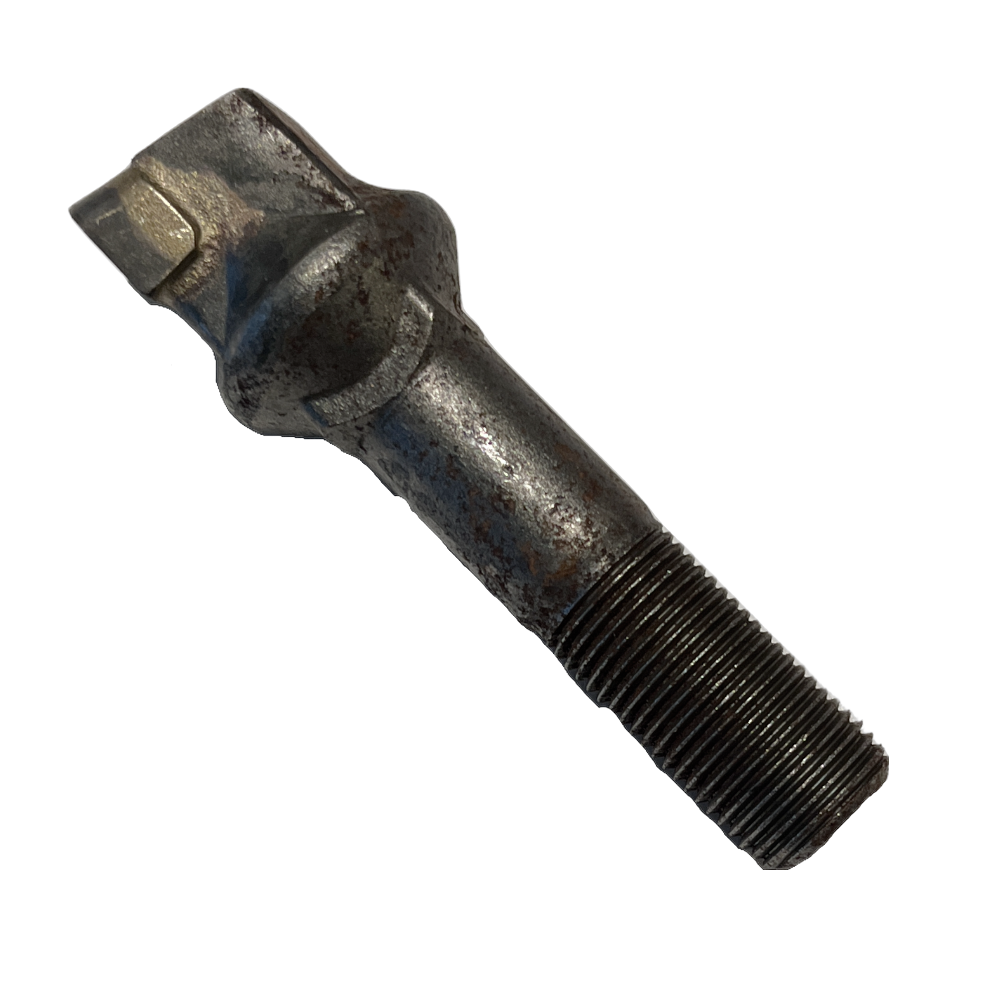 Sandvik Long Square Carbide Teeth | Arborist Supply Co. Inc.