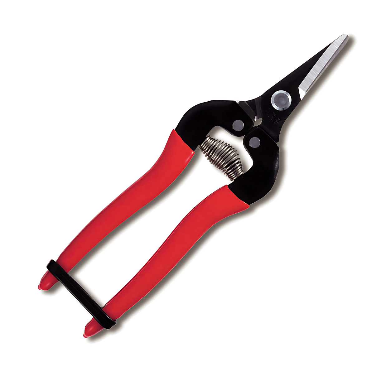 300SS Fruit Pruners ARS | Arborist Supply Co. Inc.